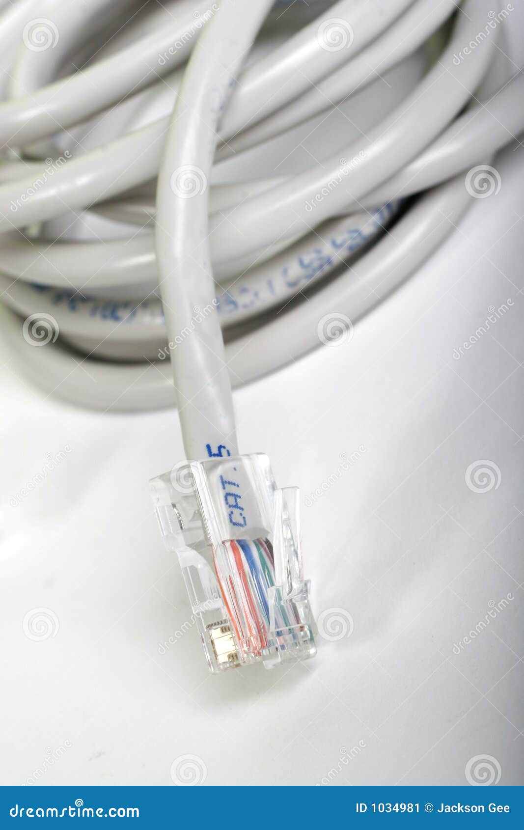 Cat5 stock image. Image of structur, router, port, adsl - 1034981