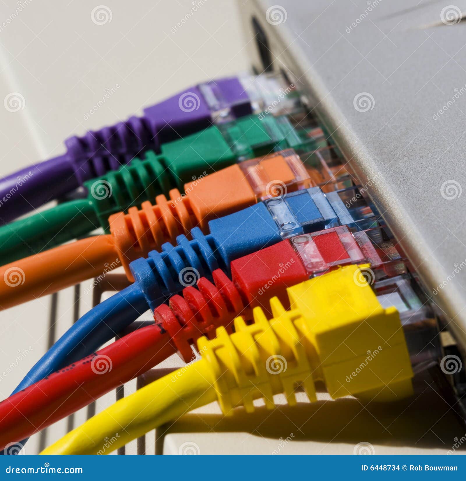 Cat5 stock photo. Image of communication, networks, network - 6448734