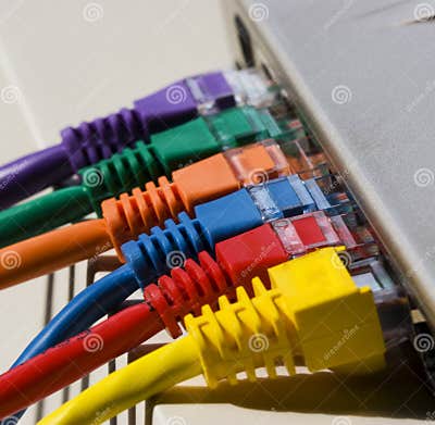 Cat5 stock photo. Image of communication, networks, network - 6448734