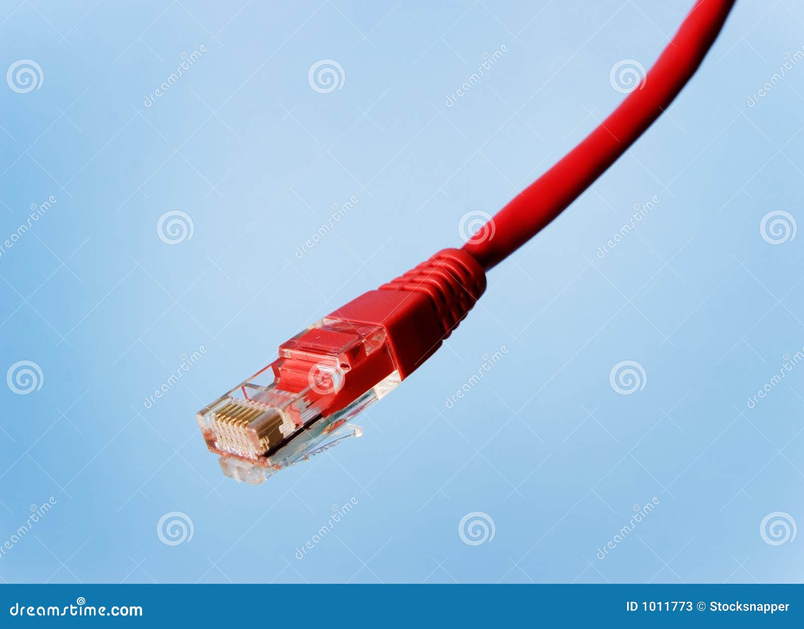 CAT5 ethernet connector stock image. Image of cord, access - 1011773