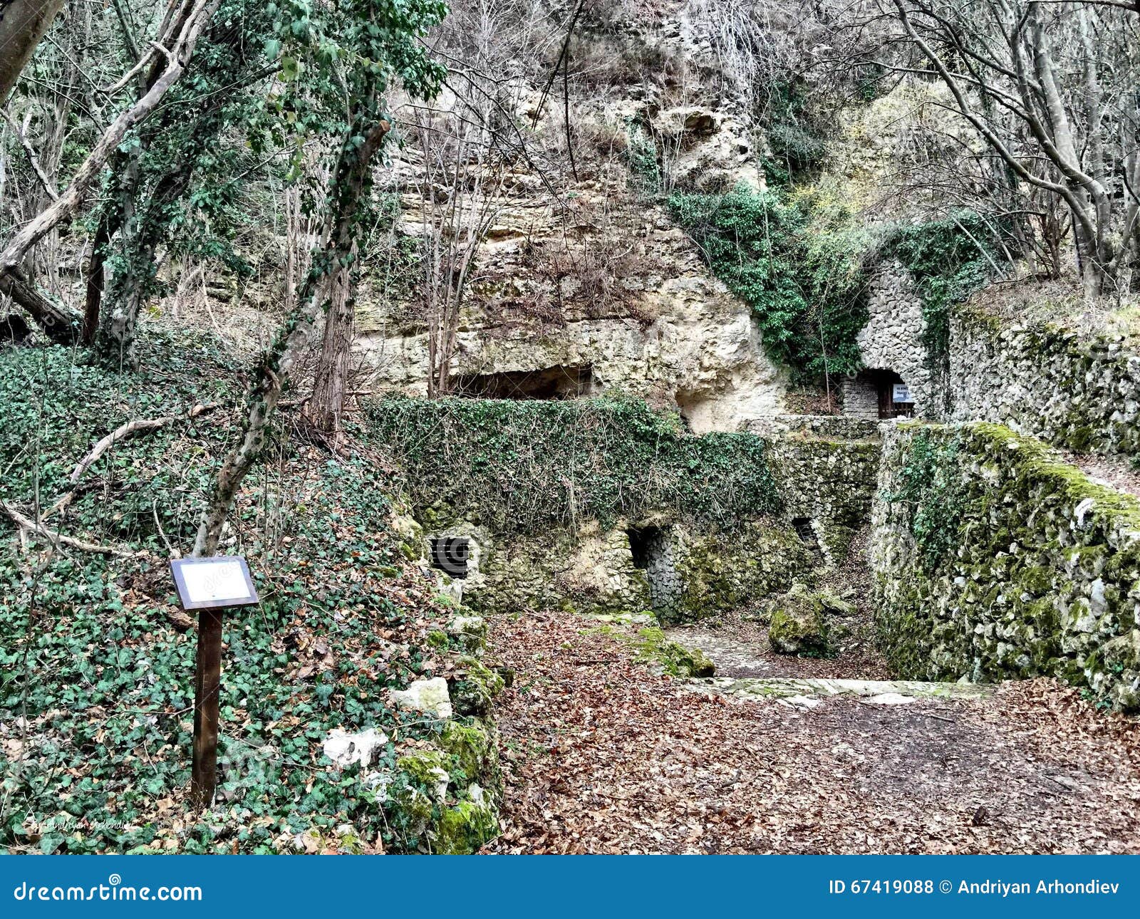 Catacombs stock photo. Image of forest, tree, natural - 67419088