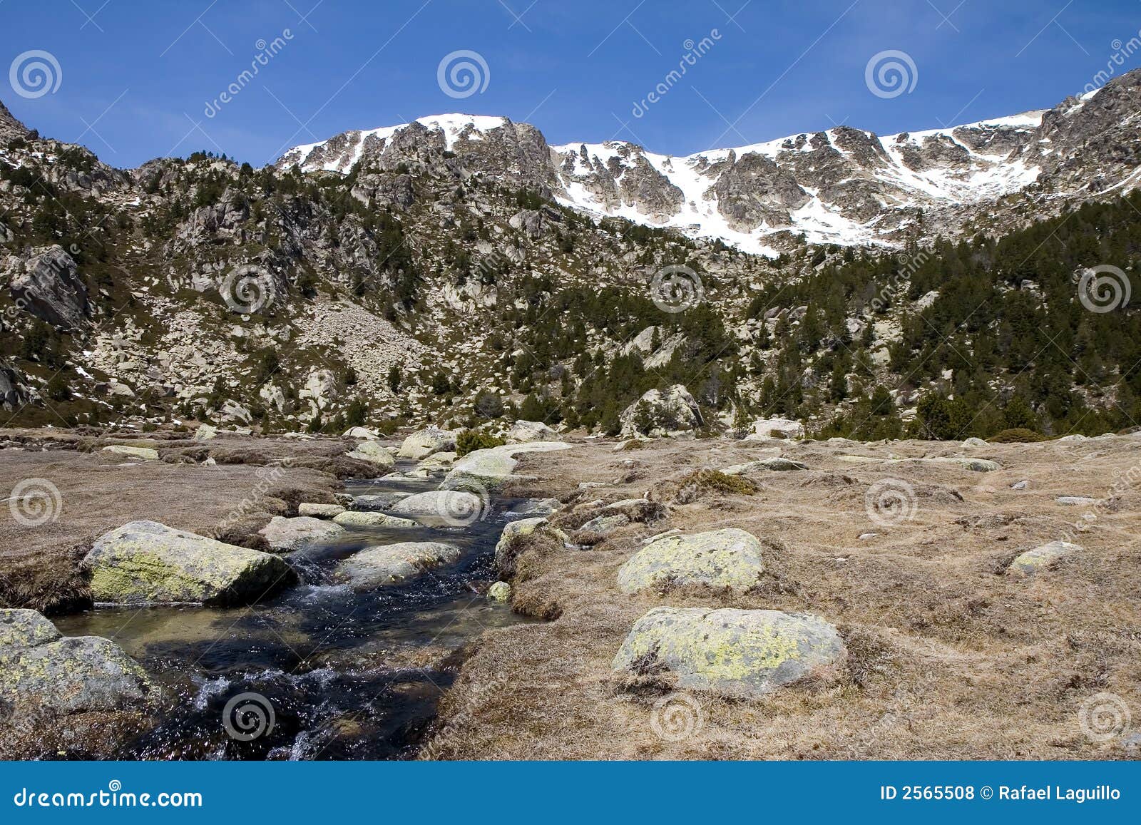 Catalan Pyrenees stock photo. Image of catalunya, green - 2565508