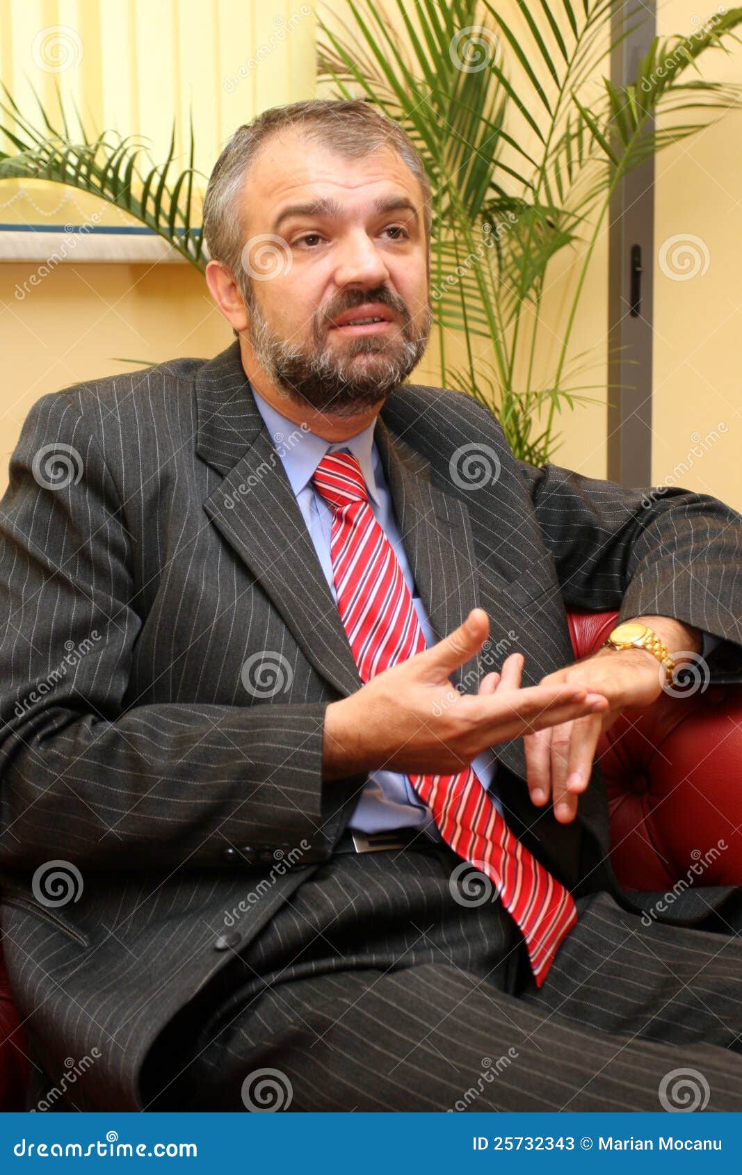 Catalin Ionescu editorial stock photo. Image of business - 25732343