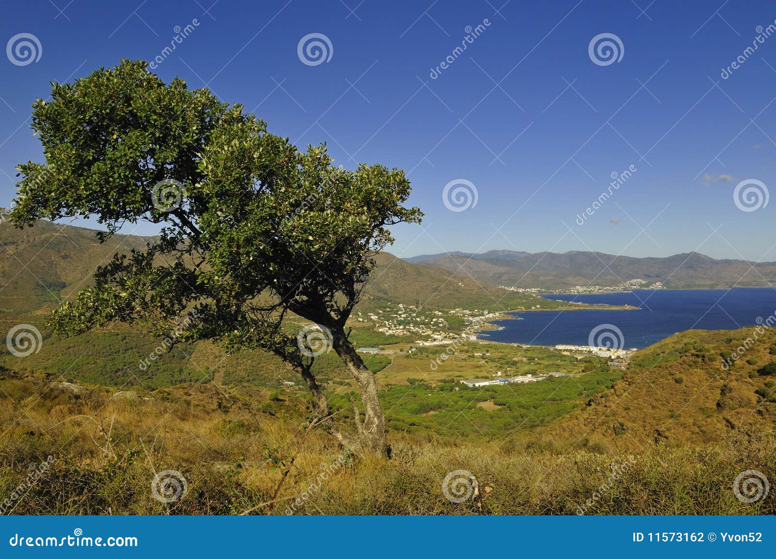 Catalonia landscape stock photo. Image of natural, landscape - 11573162