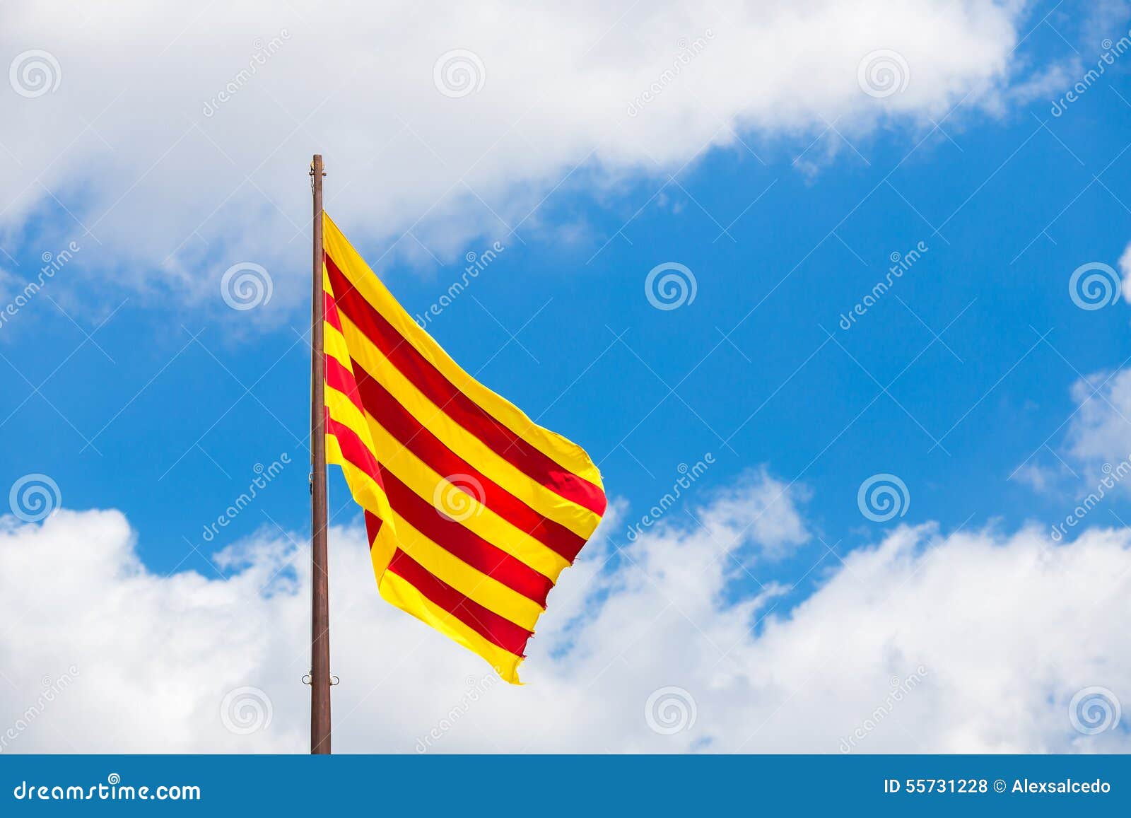 Catalonian flag stock photo. Image of freedom, symbol - 55731228