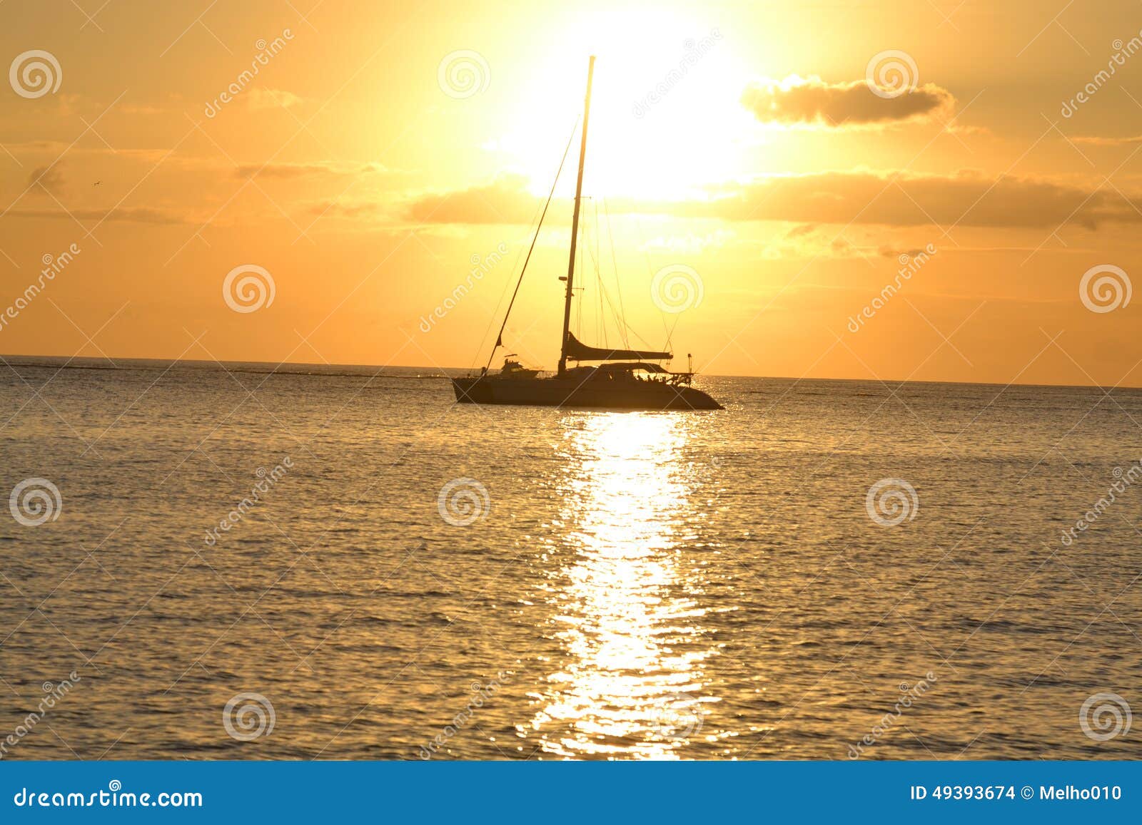 Catamaran Sunset stock photo. Image of sailing, rodney - 49393674