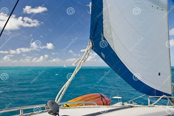 Catamaran under sail stock photo. Image of british, marine - 3851446