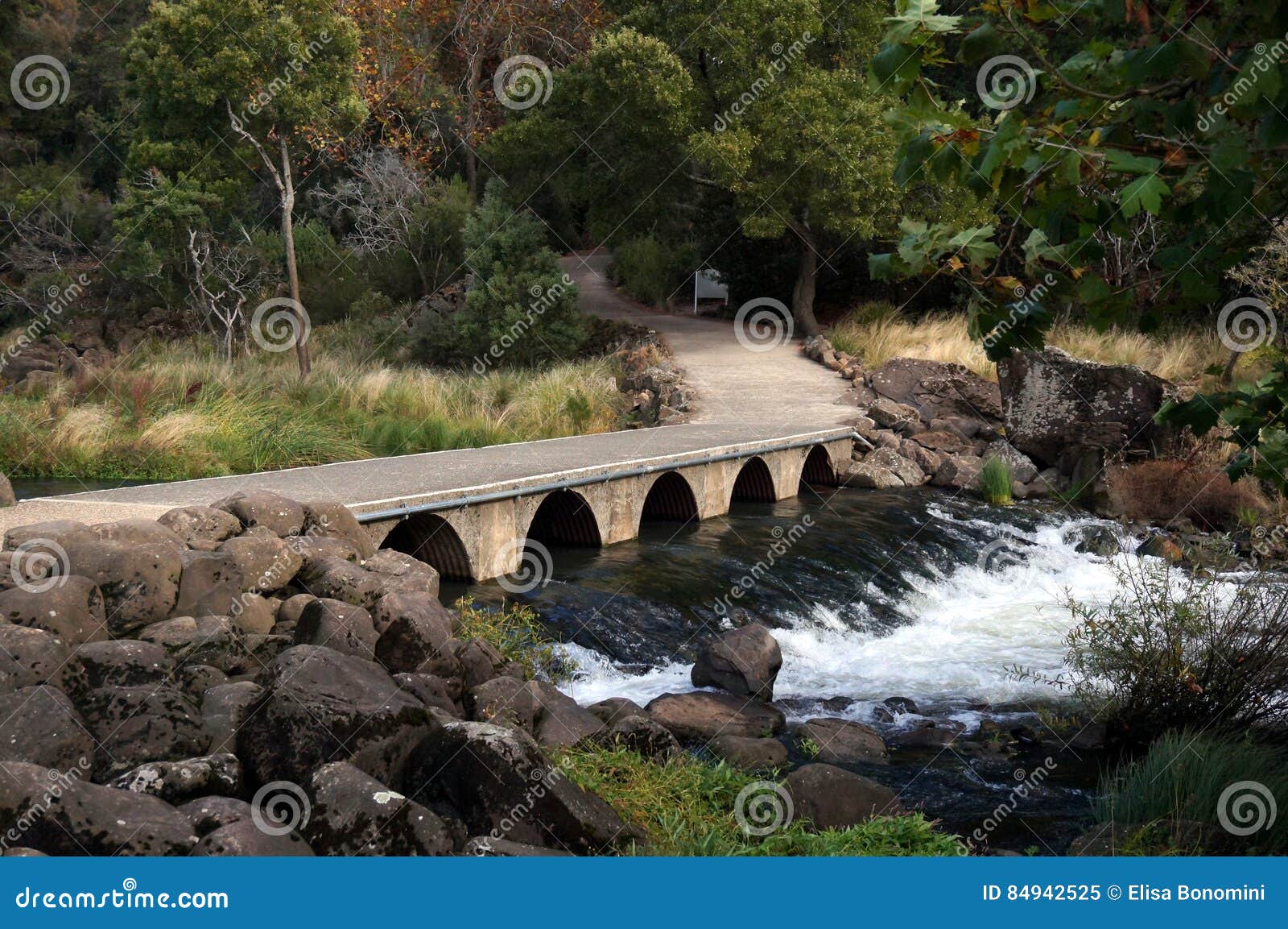 Cataract Gorge Reserve, Launceston Stock Image - Image of view, outdoor ...