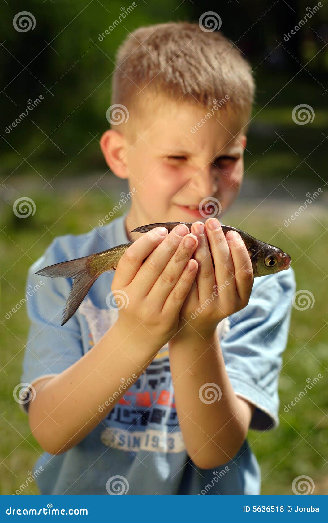 Catch stock photo. Image of animal, fishing, portrait - 5636518