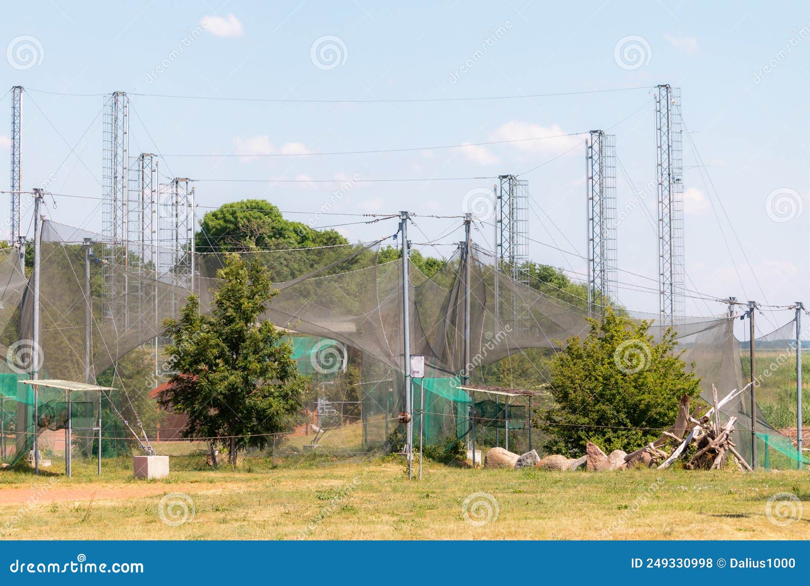Catch Birds for Ringing - Tagging Birds - Summer Season Stock Photo ...