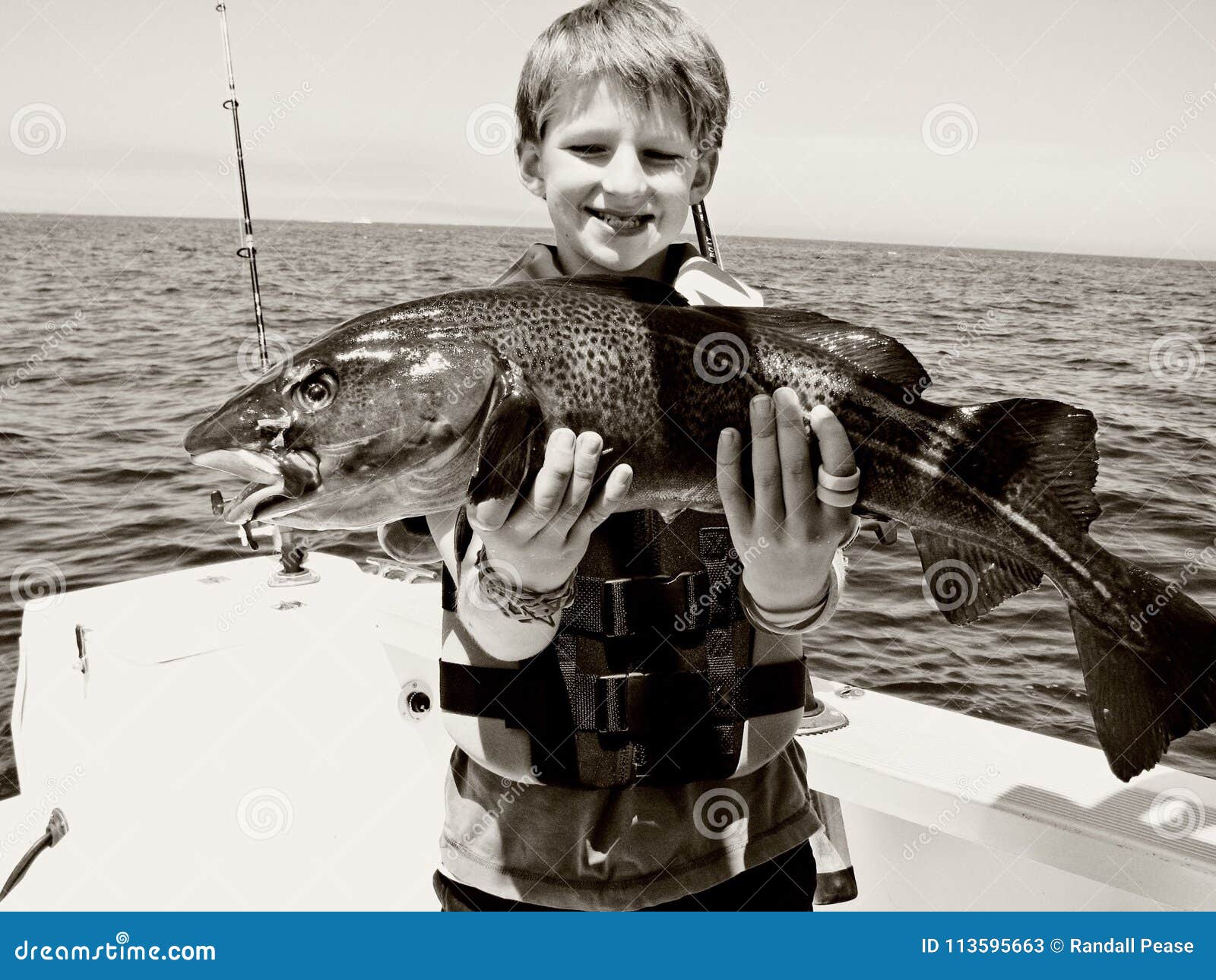 Boy catches fish stock image. Image of ocean, catch - 113595663