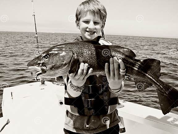 Boy catches fish stock image. Image of ocean, catch - 113595663