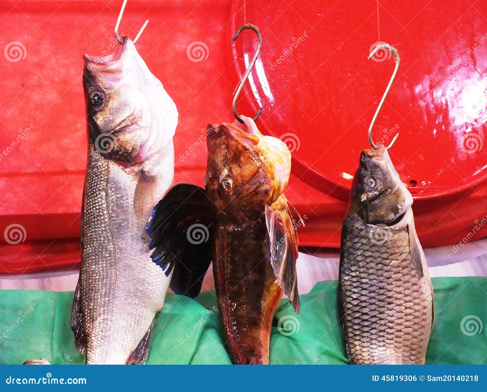 Catch of the Day, Fresh Fish Stock Photo - Image of gourmet, dorada ...