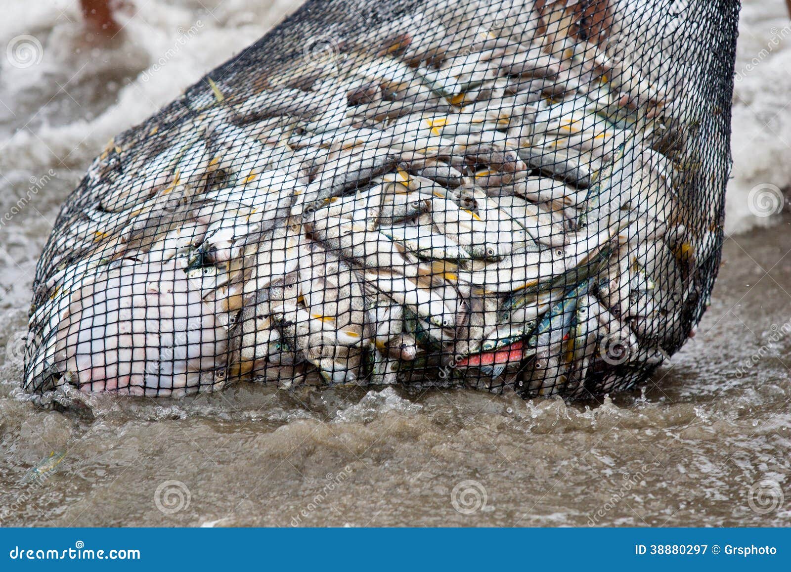Catch of the day stock image. Image of nautical, coastline - 38880297