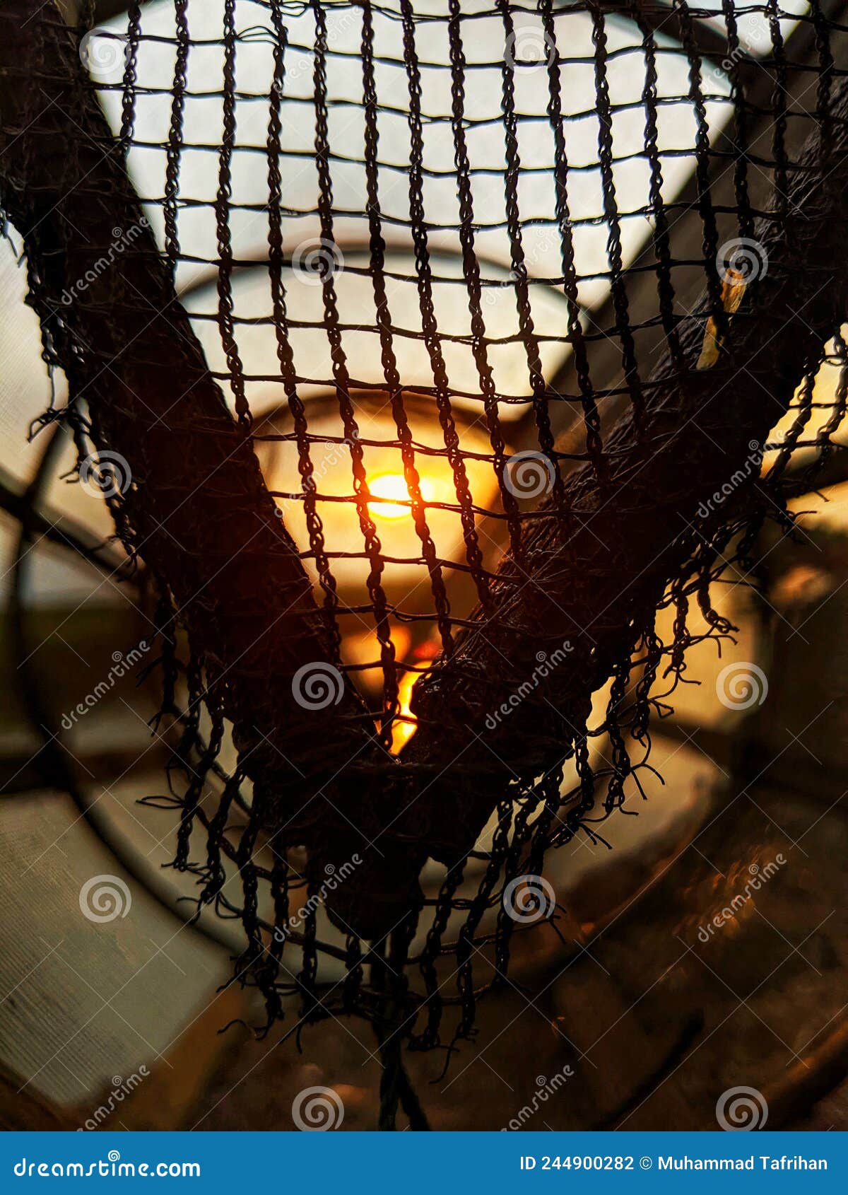 Catch a fish with ceiling stock photo. Image of sunlight - 244900282