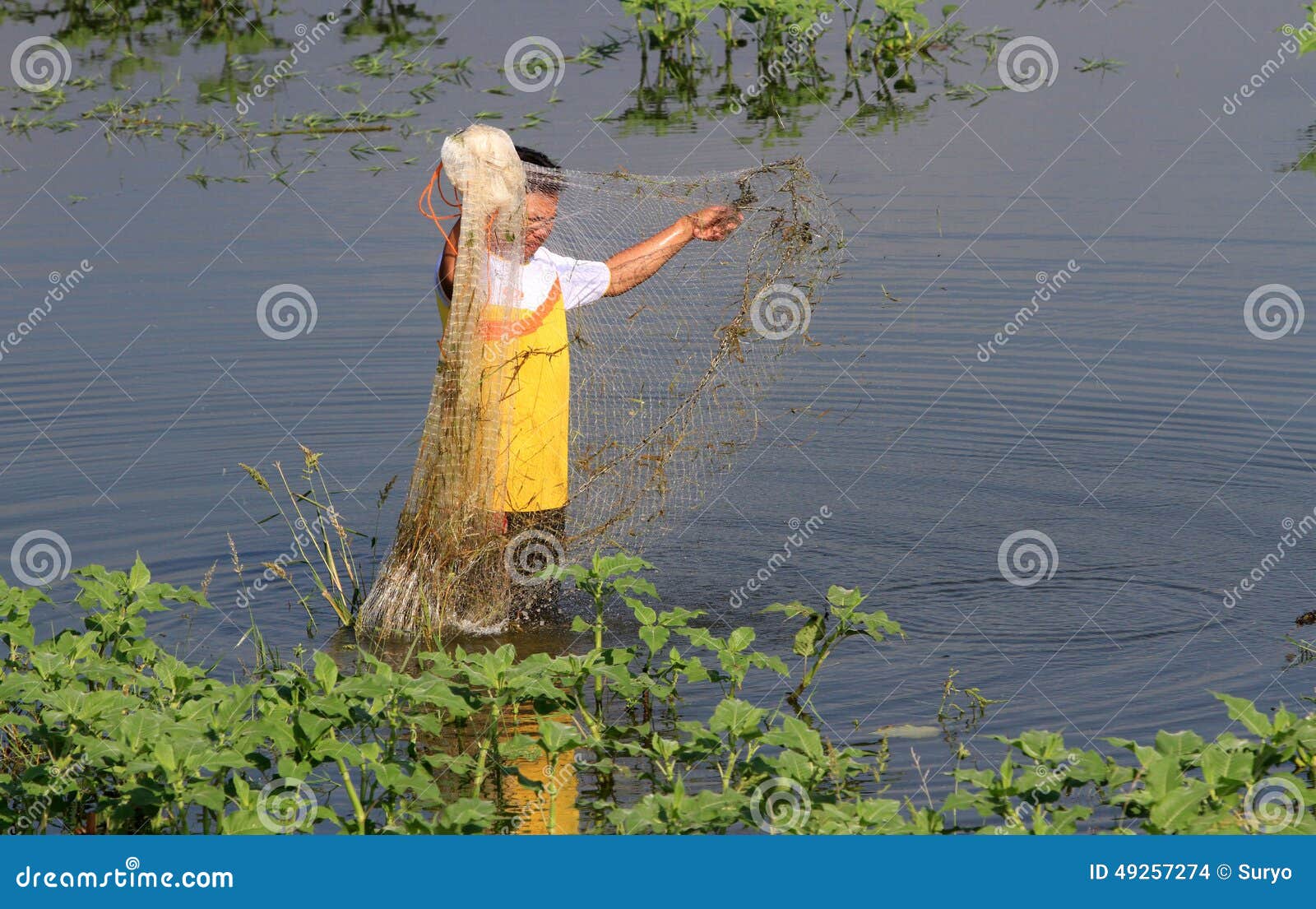 Catch fish editorial stock image. Image of fish, java - 49257274