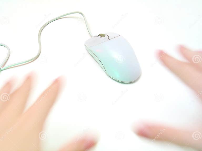 Catch that mouse 2 stock image. Image of play, scrolling - 30797