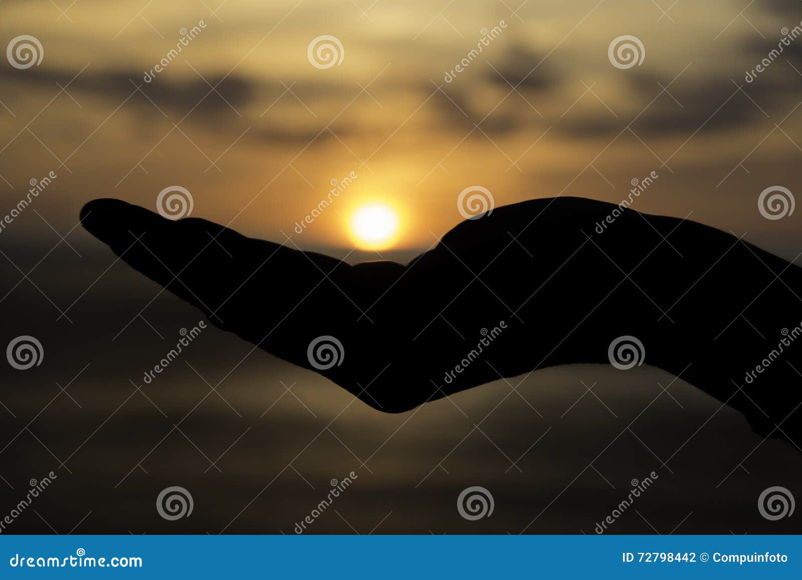 Catch the sun in your hand stock photo. Image of orange - 72798442