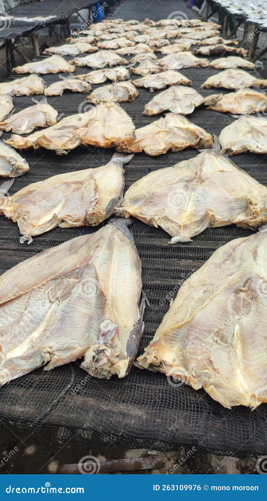 The Process Of Drying Salted Fish On The Hangers. System For Drying ...
