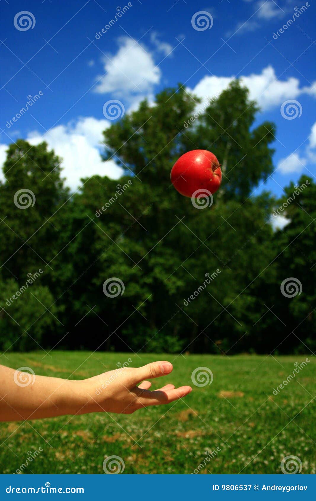 Catching apple stock image. Image of hand, natural, healthy - 9806537