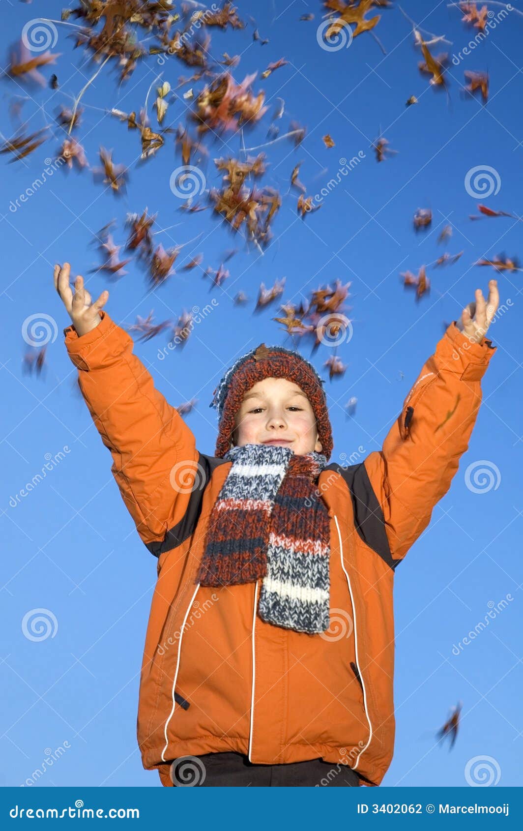 Catching the Autumn Leaves stock photo. Image of leaves - 3402062