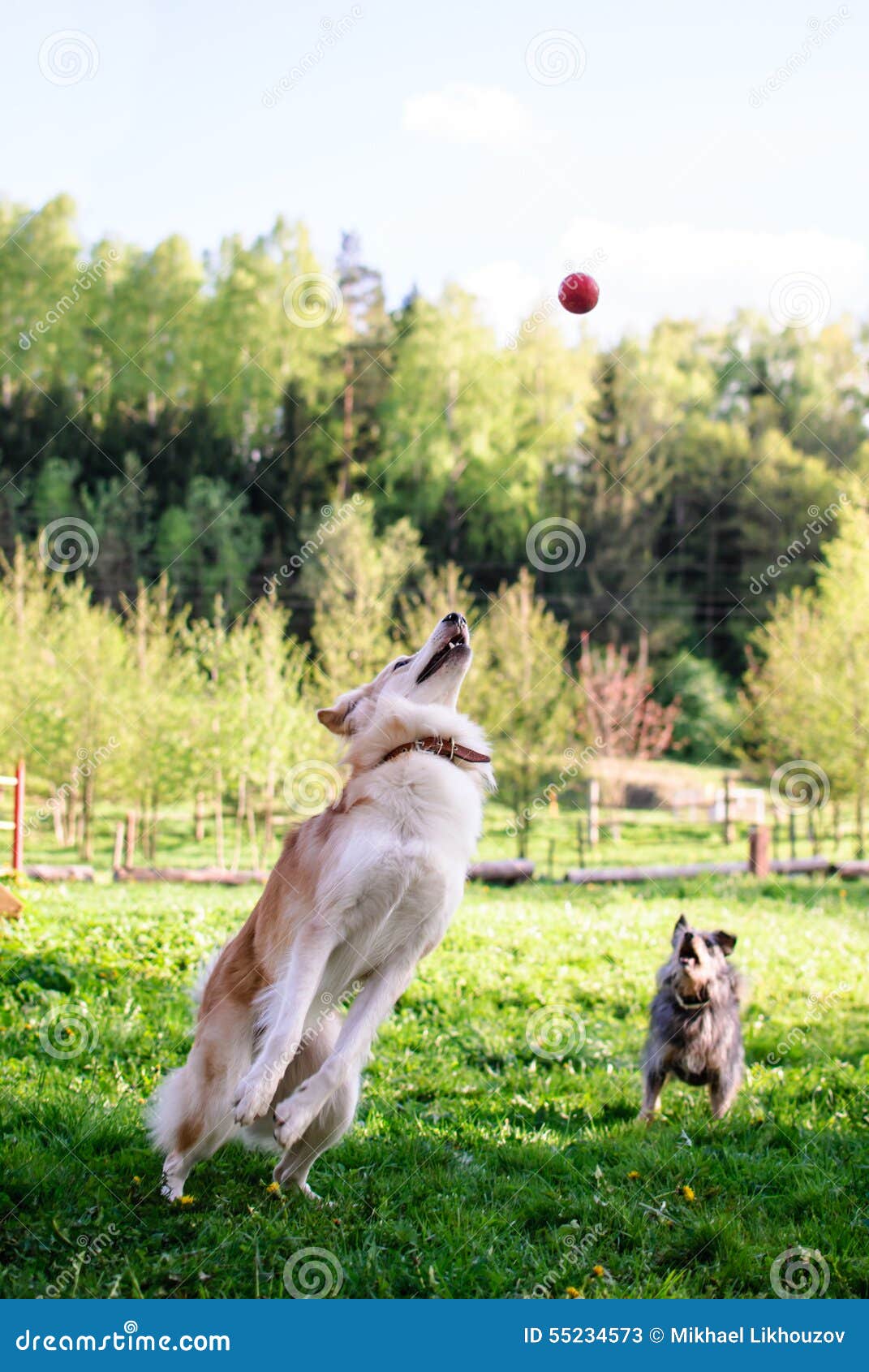 Catching the ball stock image. Image of activity, playing - 55234573