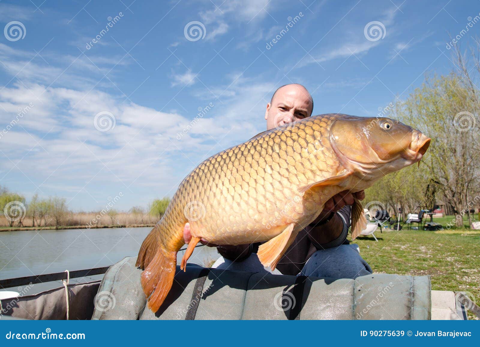 Catching big carp stock image. Image of outdoors, bait - 90275639
