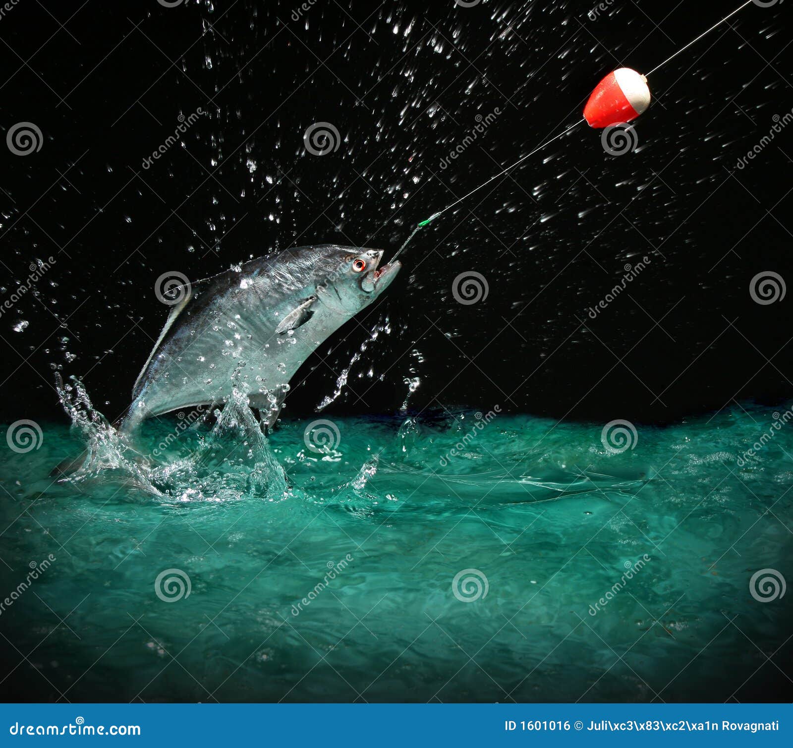 Catching a Big Fish at Night Stock Photo - Image of gear, water: 1601016
