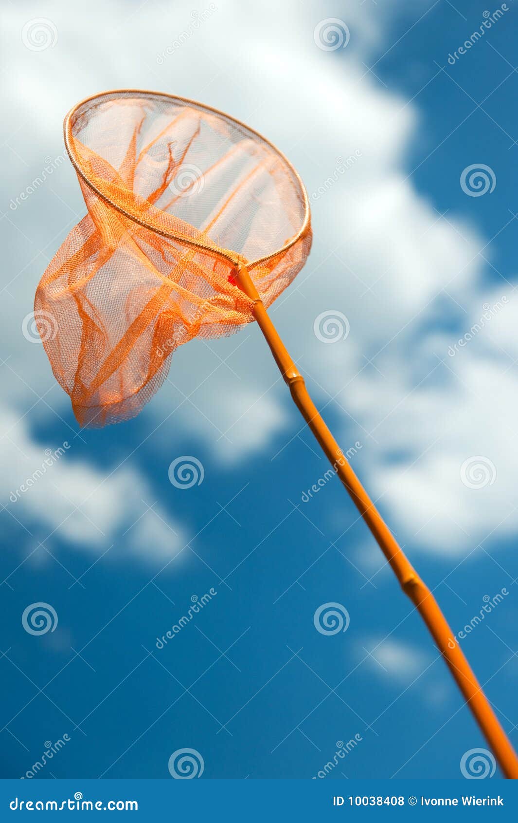 Catching the butterflies stock photo. Image of catching - 10038408