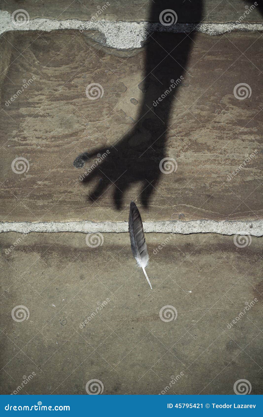 Catching a feather stock image. Image of path, bird, hand - 45795421
