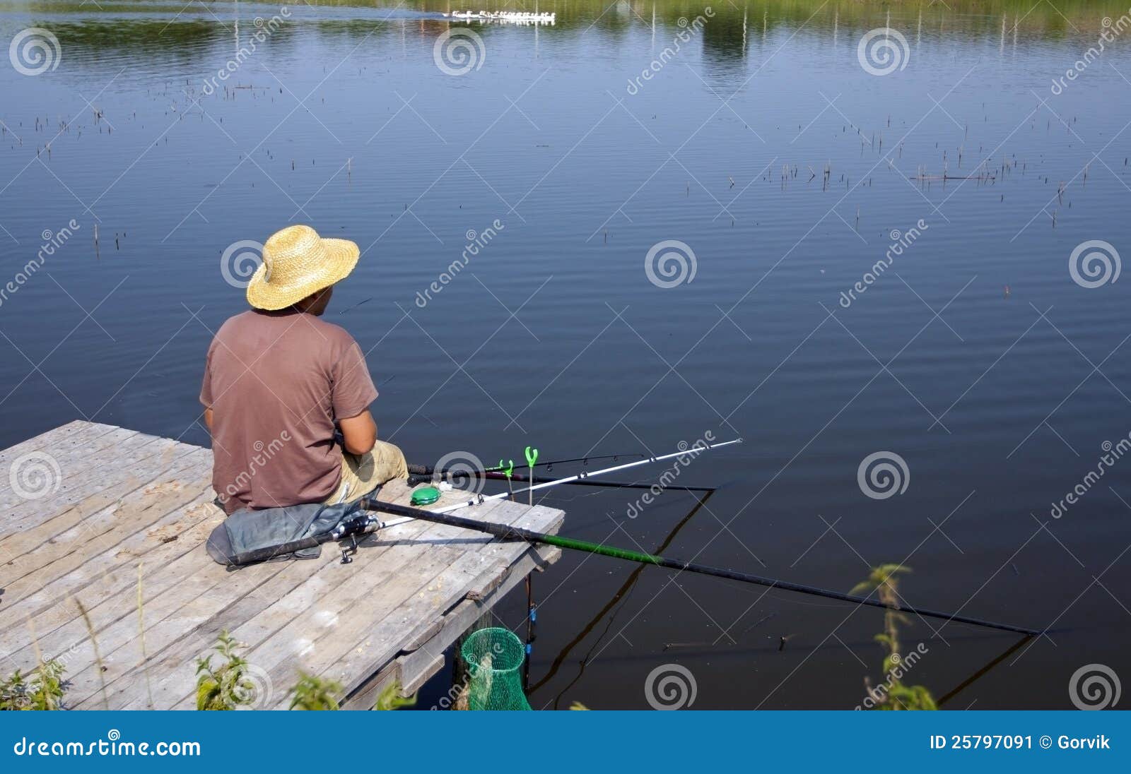 Catching of fish stock image. Image of feeding, fishing - 25797091