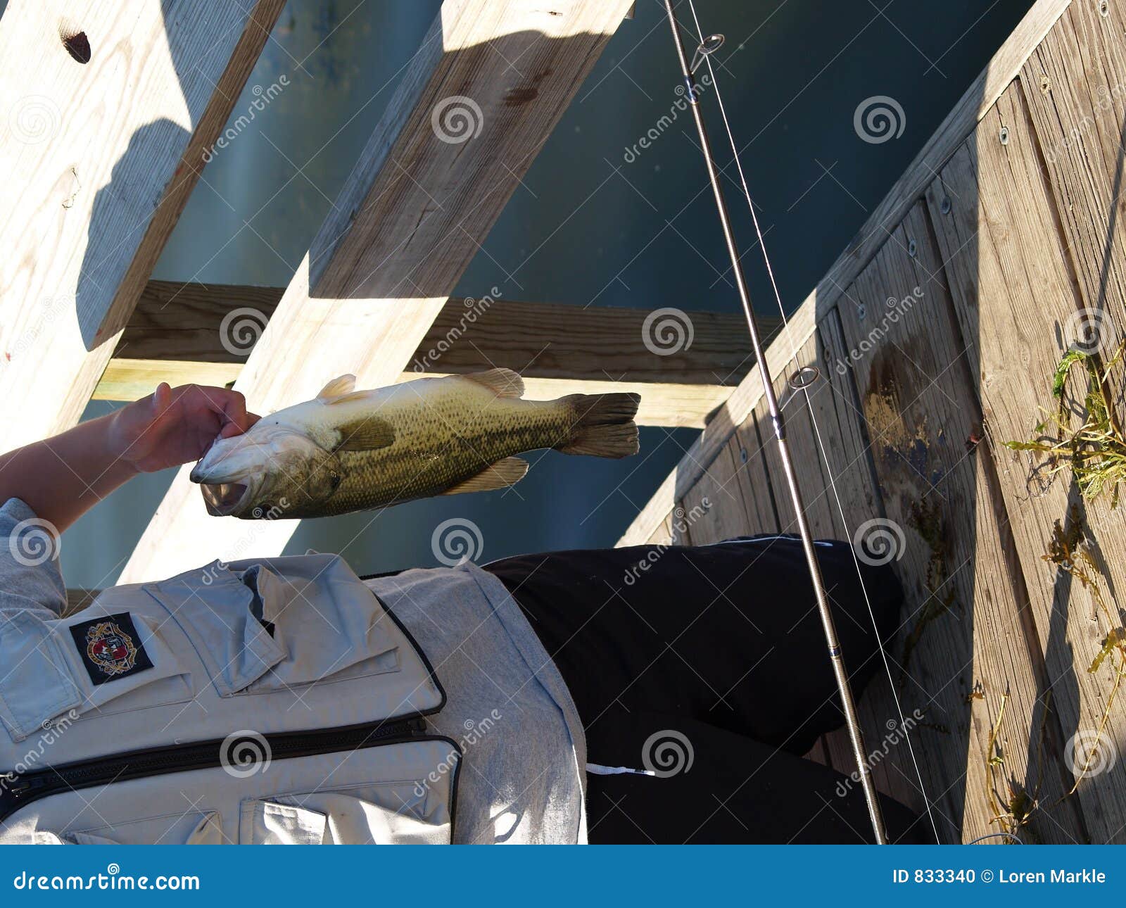 Catching fish stock photo. Image of food, tackle, line - 833340