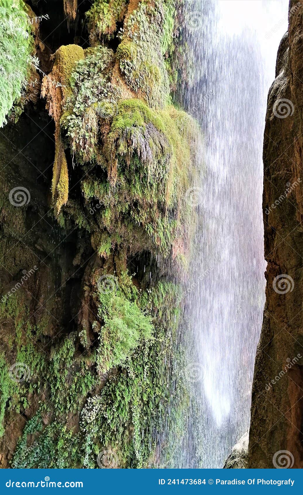Catching Light through a Waterfall between Walls with Vegetation Stock ...