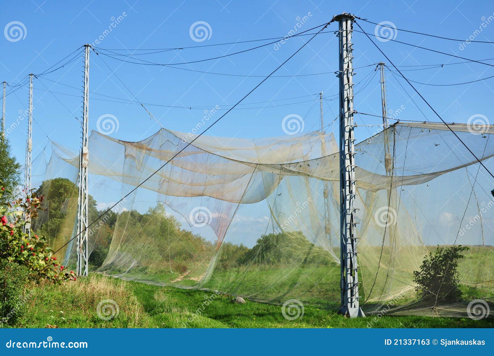 Catching Nets Vente Cape Lithuania Stock Image - Image of structure ...