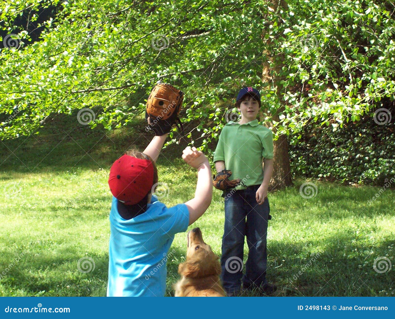 Catching the pop fly stock image. Image of catch, backyard - 2498143