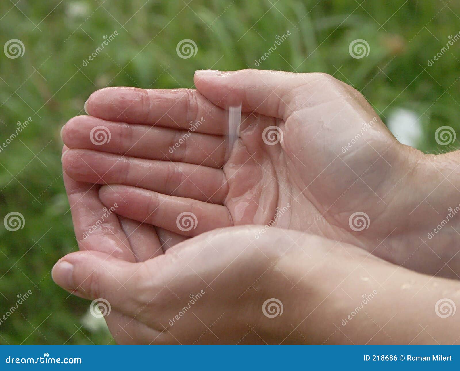 Catching the rain stock photo. Image of raindrops, drops - 218686