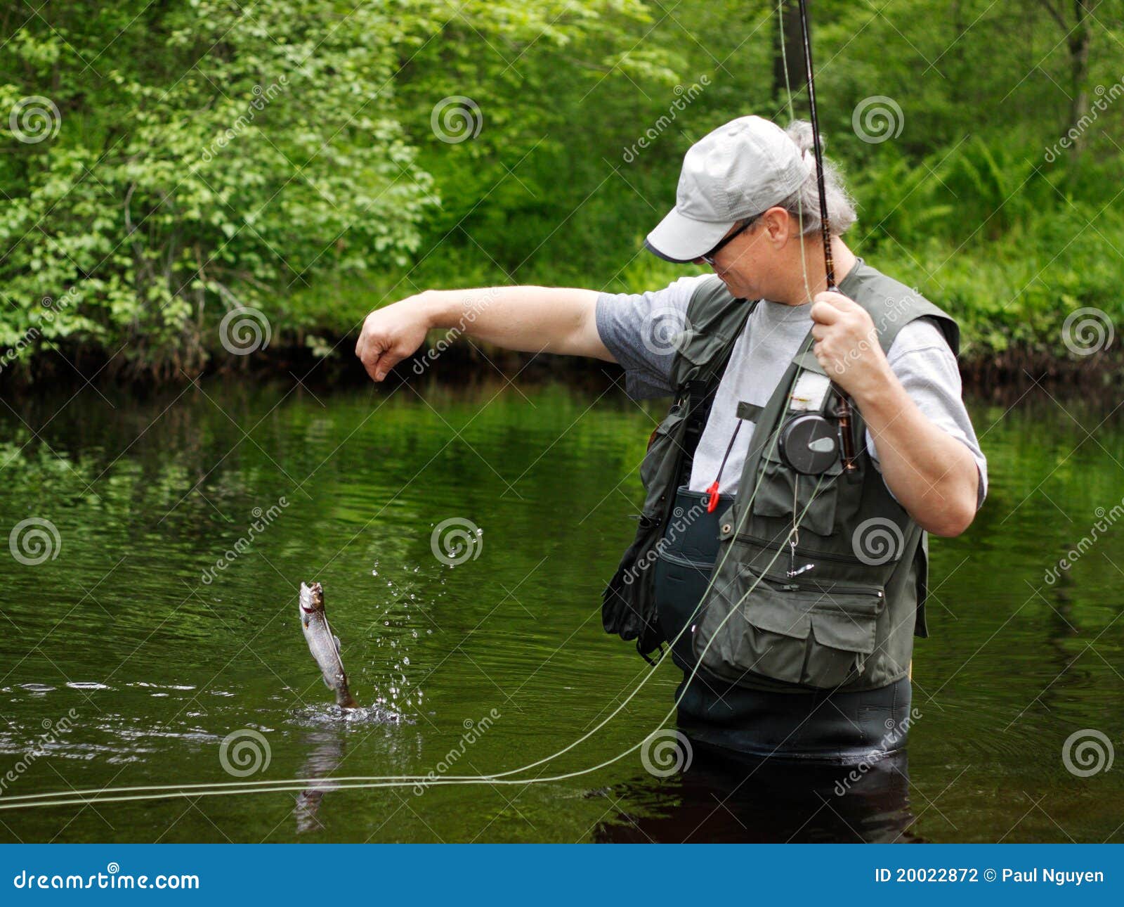 Catching a Trout stock photo. Image of fisherman, river - 20022872