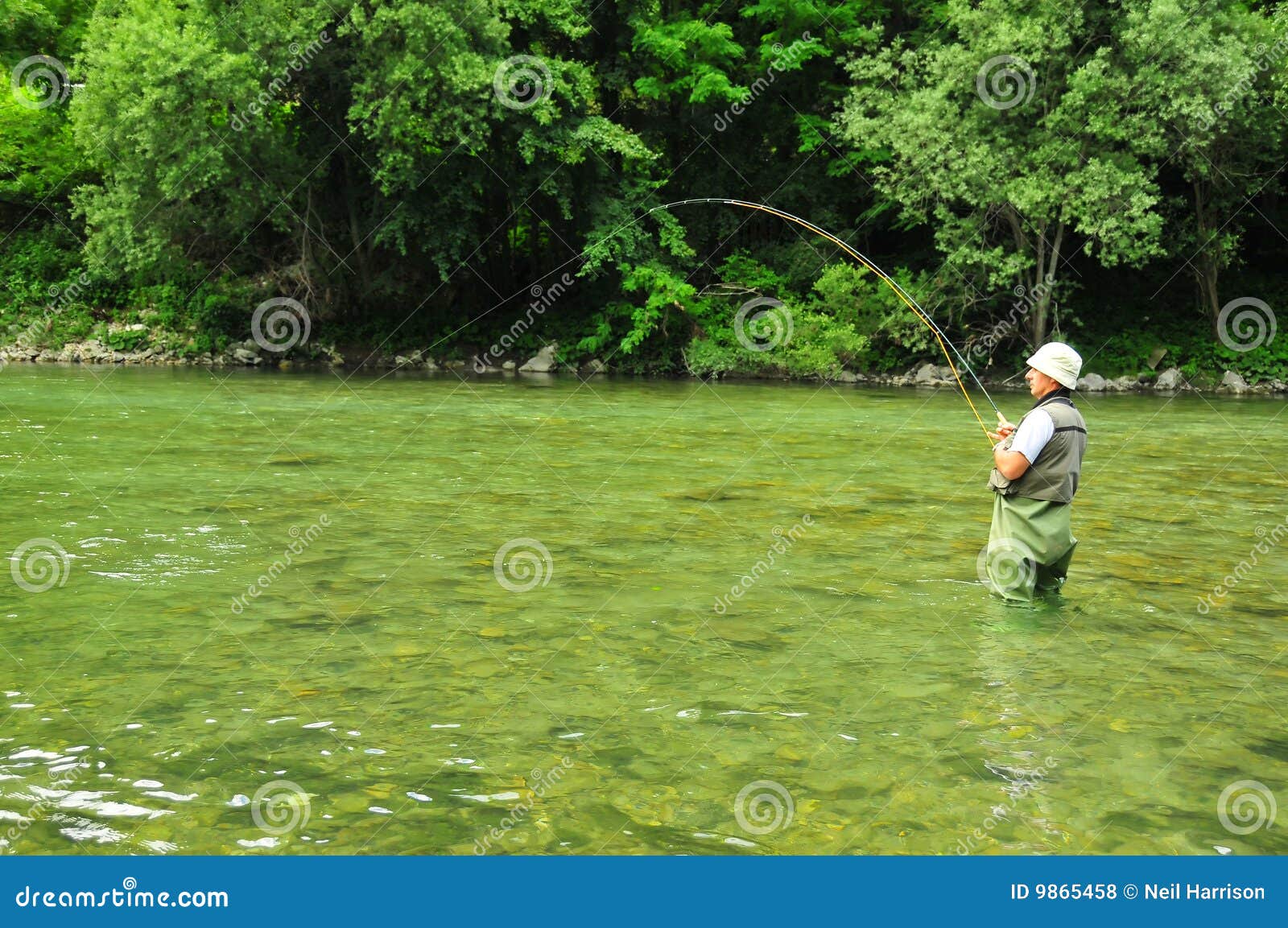 Catching a trout stock photo. Image of line, patience - 9865458