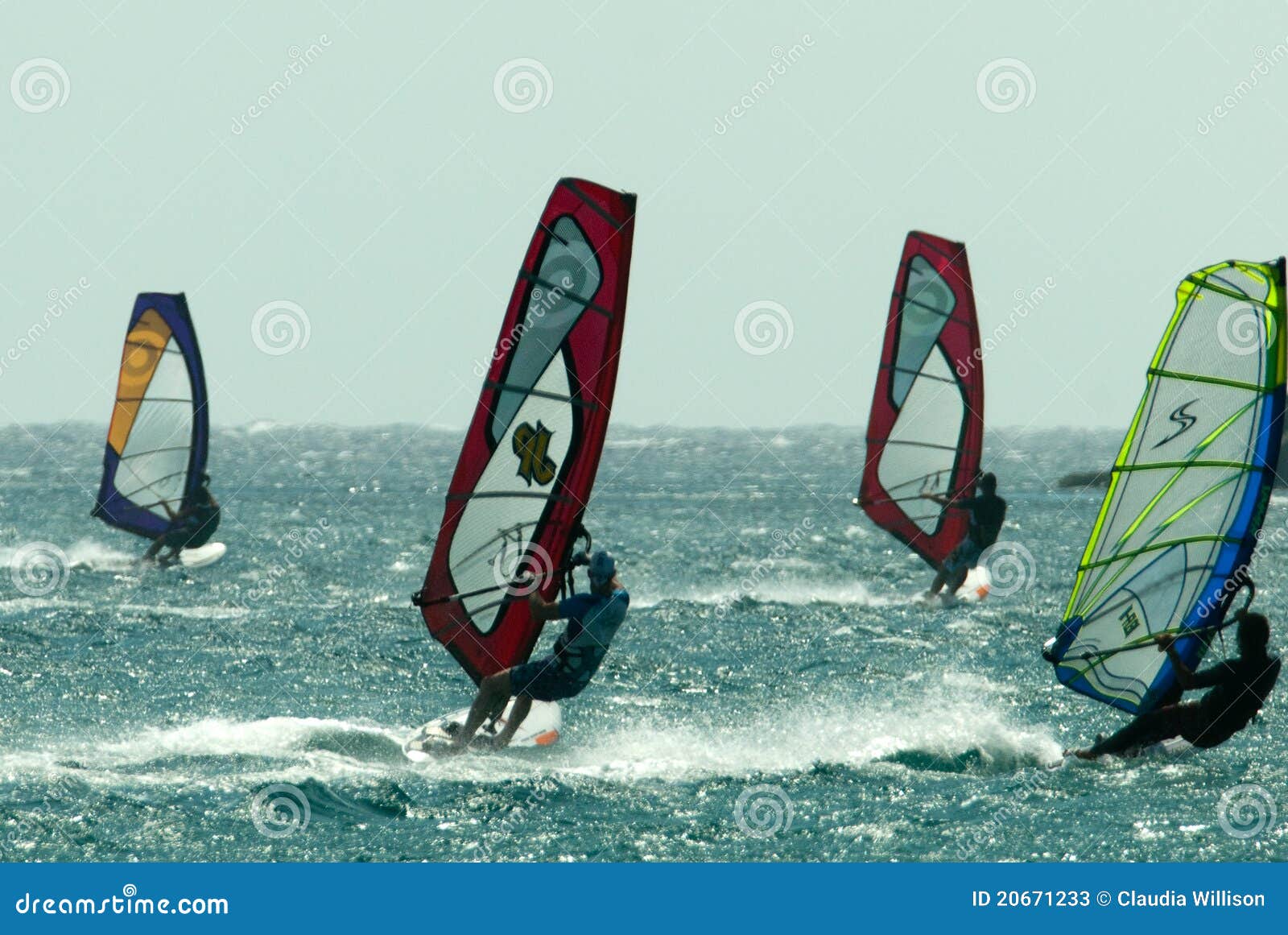 Catching the wind stock image. Image of glare, watersport - 20671233