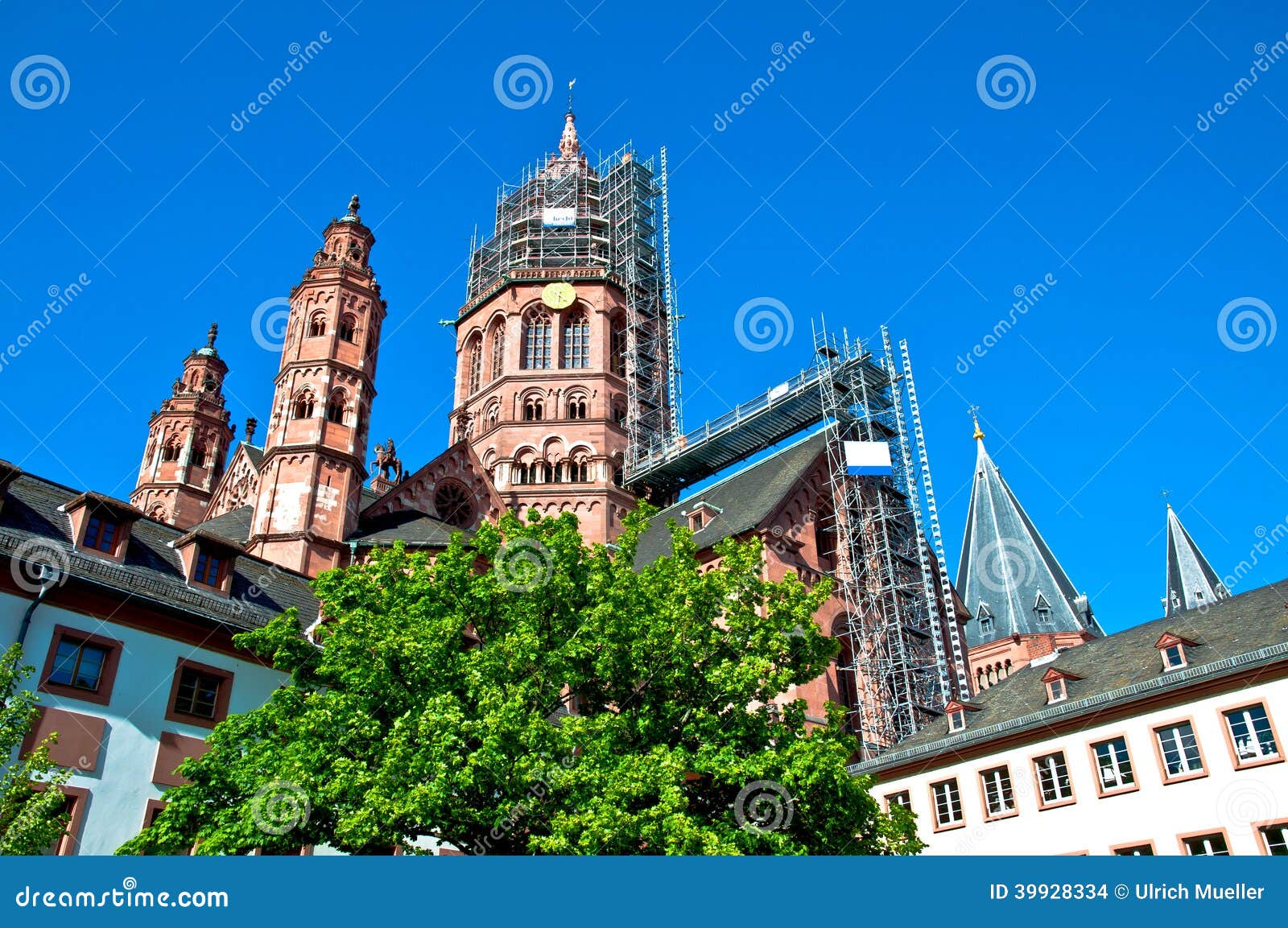 Catedral De Maguncia Con El árbol Foto de archivo - Imagen de catedral ...