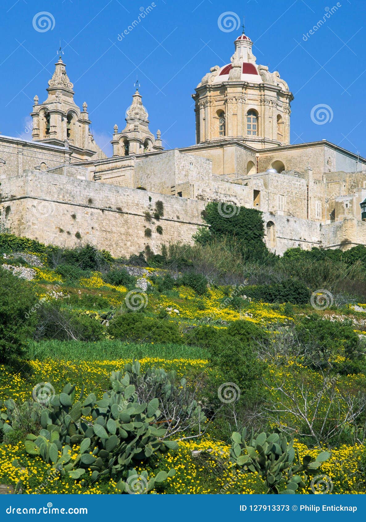 Catedral De San Pablo, Medios Malta Imagen de archivo - Imagen de ...