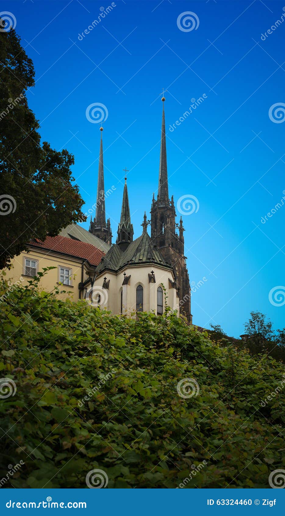 Catedral De San Pedro Y De Paul, Brno Foto de archivo - Imagen de paul ...