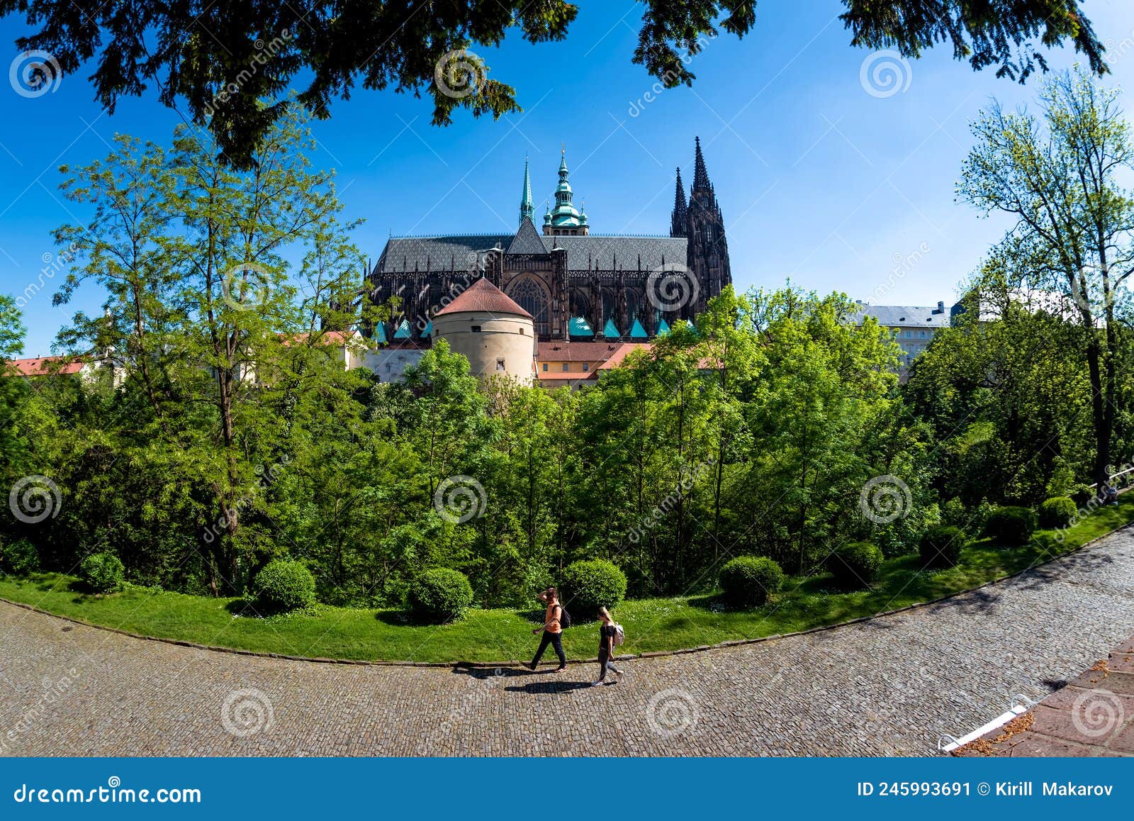 Catedral De San Vito En El Castillo De Praga Foto editorial - Imagen de ...