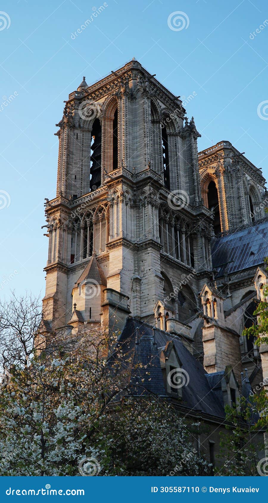 Catedral Notre-Dame De Paris in the Spring Stock Photo - Image of ...