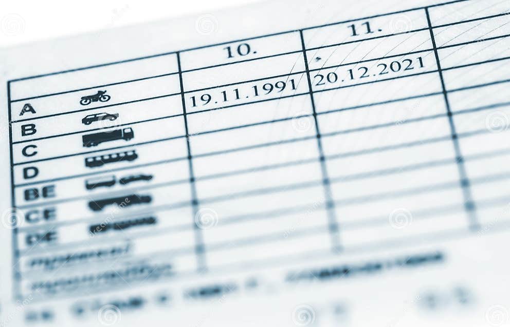 Driver Driving License, Categories and Valid Period Dates, Monochrome ...