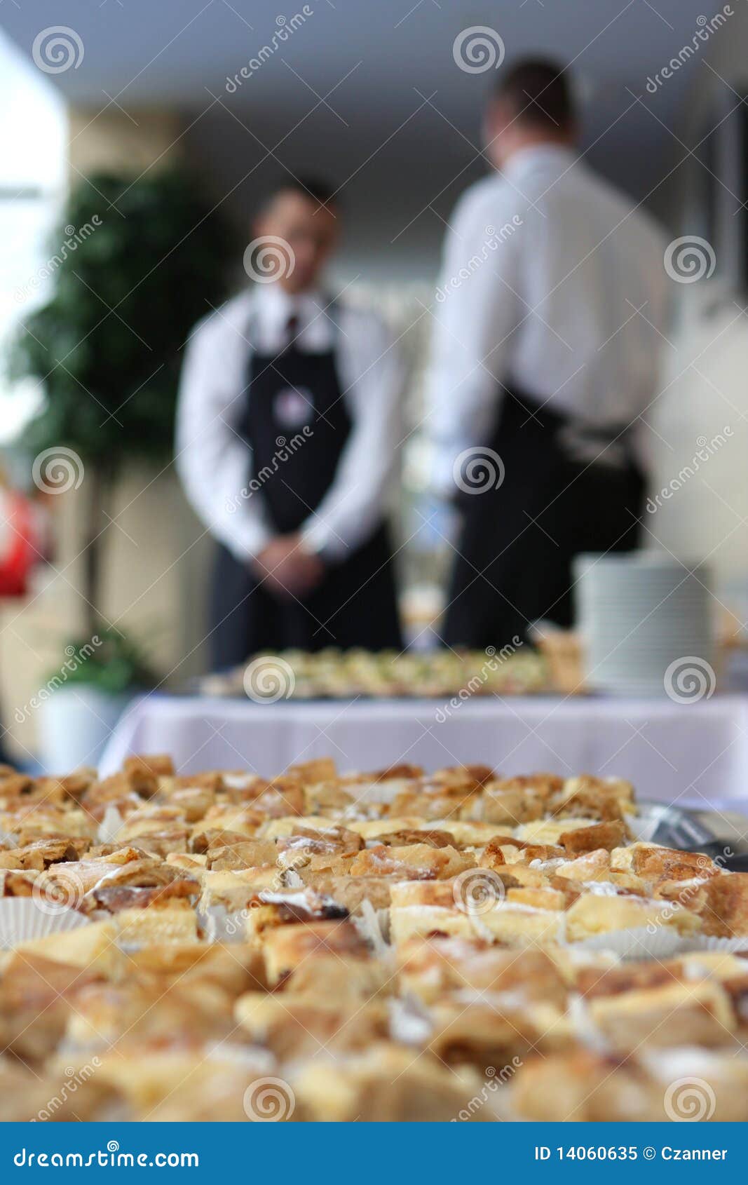 Catering stock image. Image of waiter, dine, meeting - 14060635