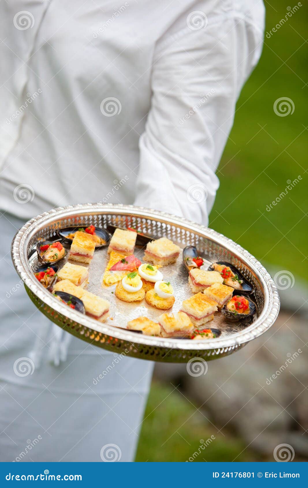 Catering appetizer stock image. Image of server, banquet - 24176801
