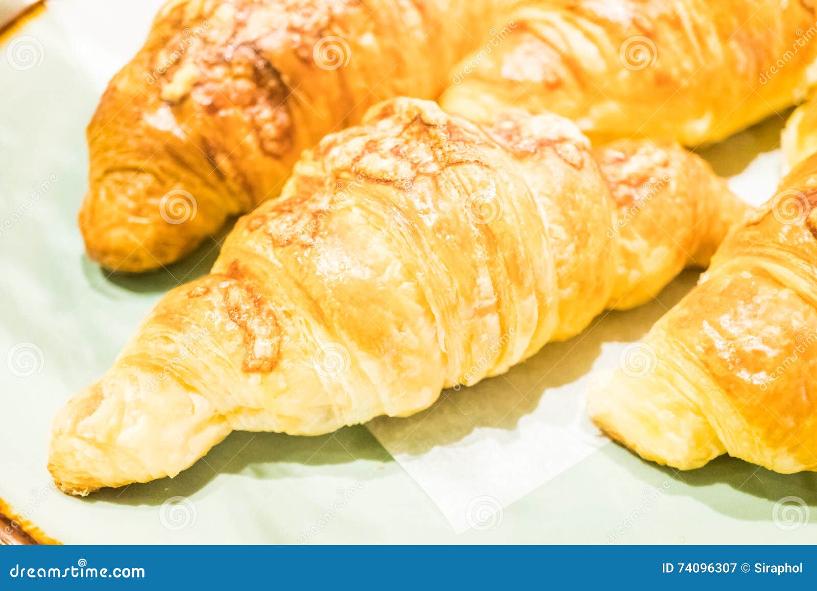 Catering stock image. Image of assorted, horizontal, gourmet - 74096307