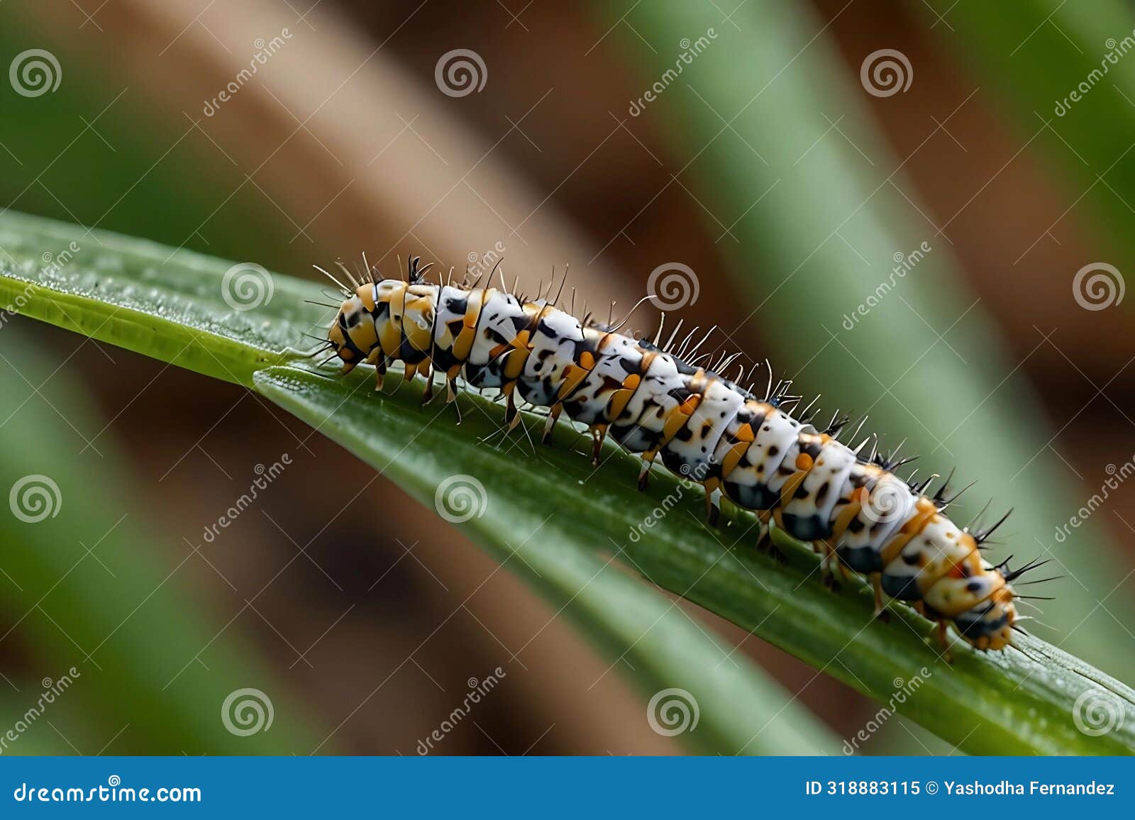 A Caterpillar Biting a Plant Leaf Stock Illustration - Illustration of ...