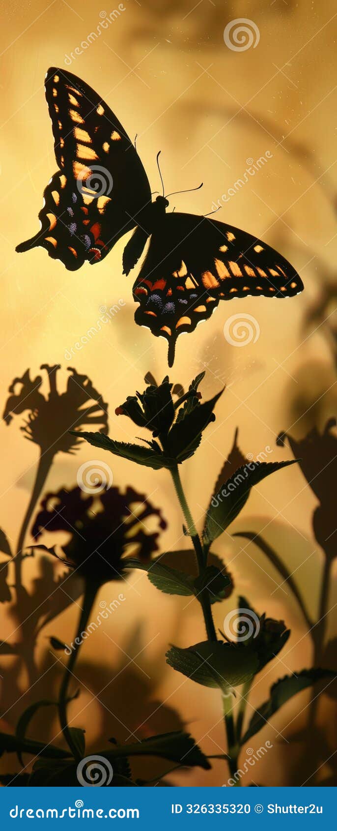 A Caterpillar and Butterfly Shadow Metaphor for Transformation and ...